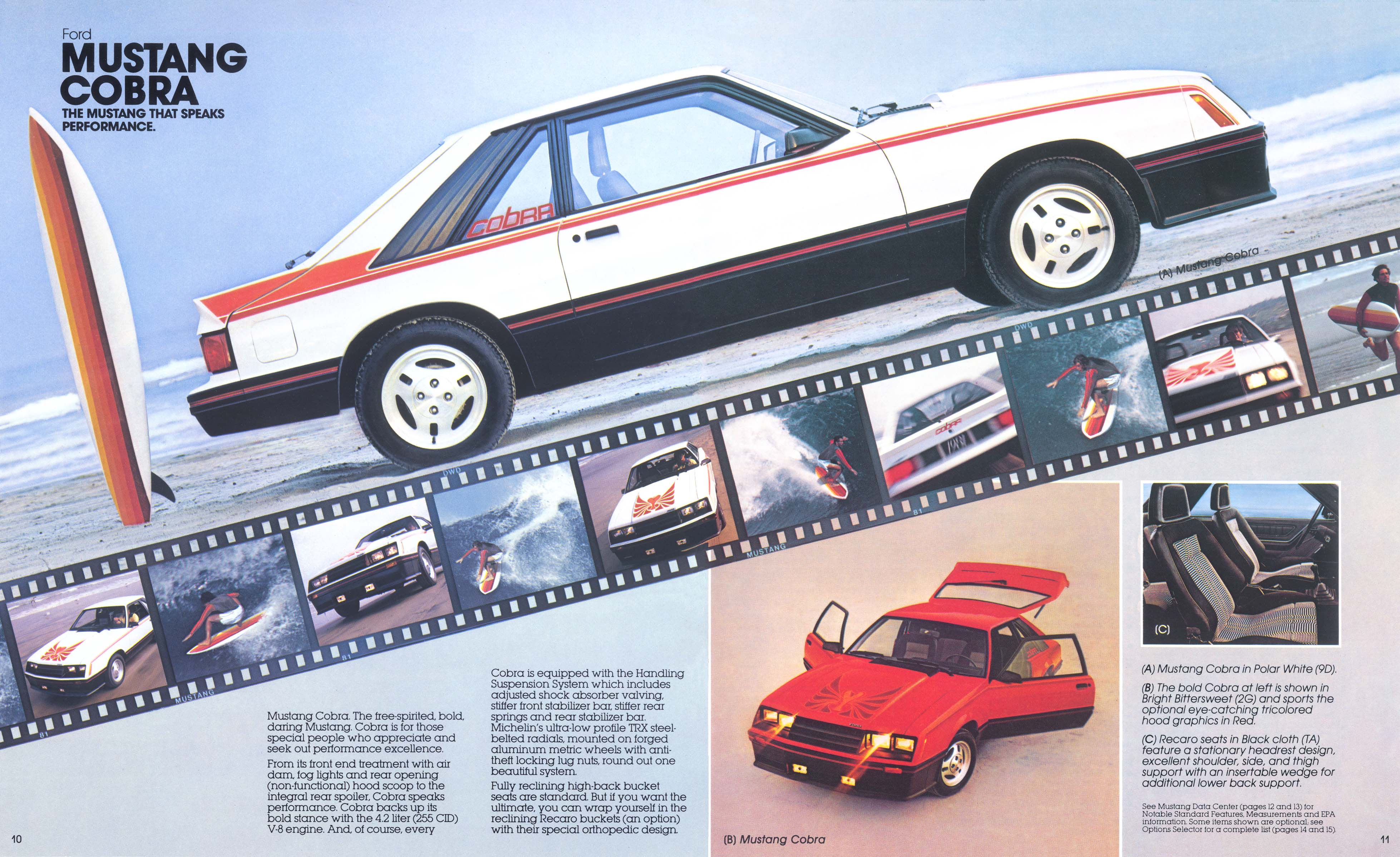 1981 Ford Mustang Brochure (Rev)