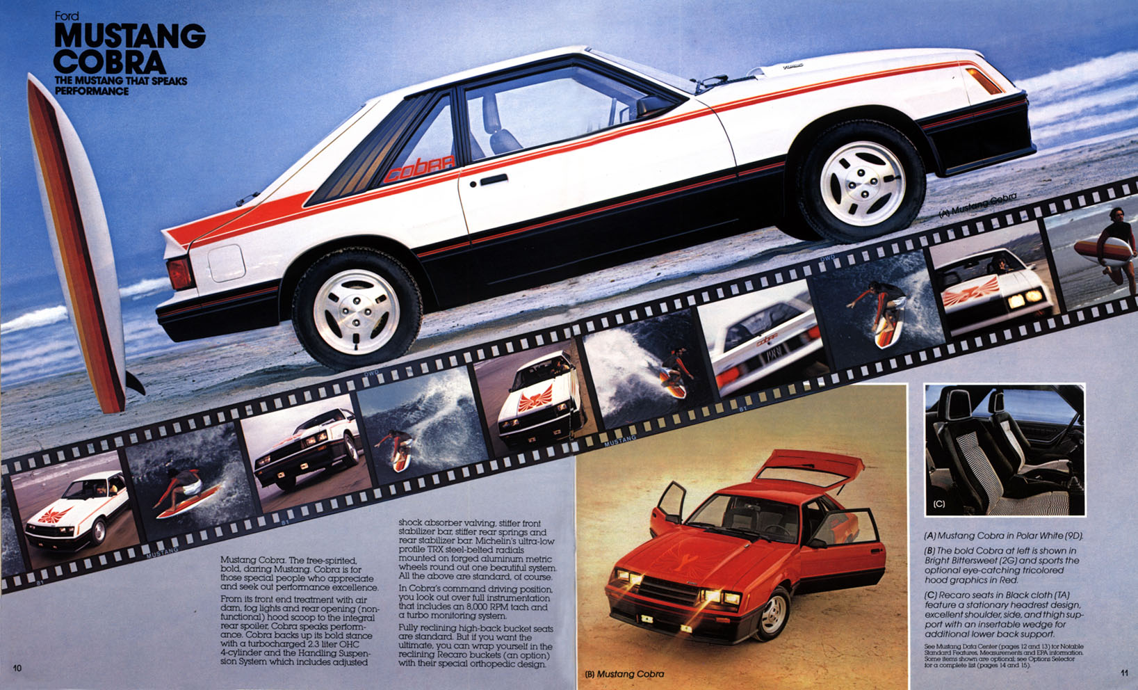 1981 Ford Mustang Brochure