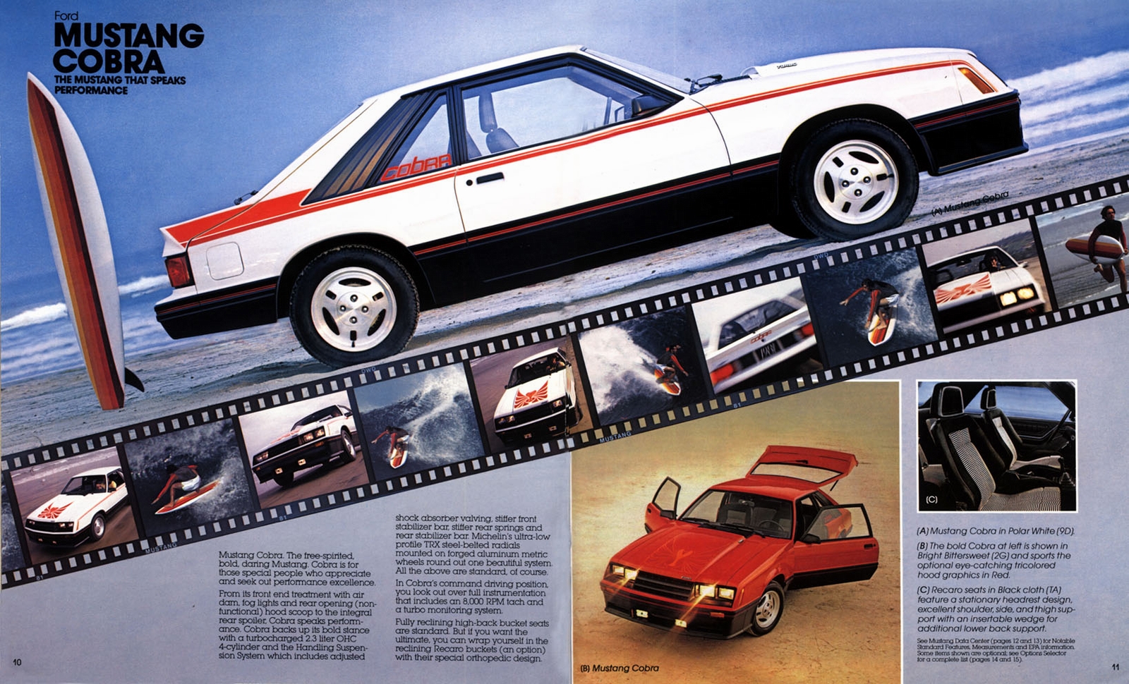1981 Ford Mustang Brochure
